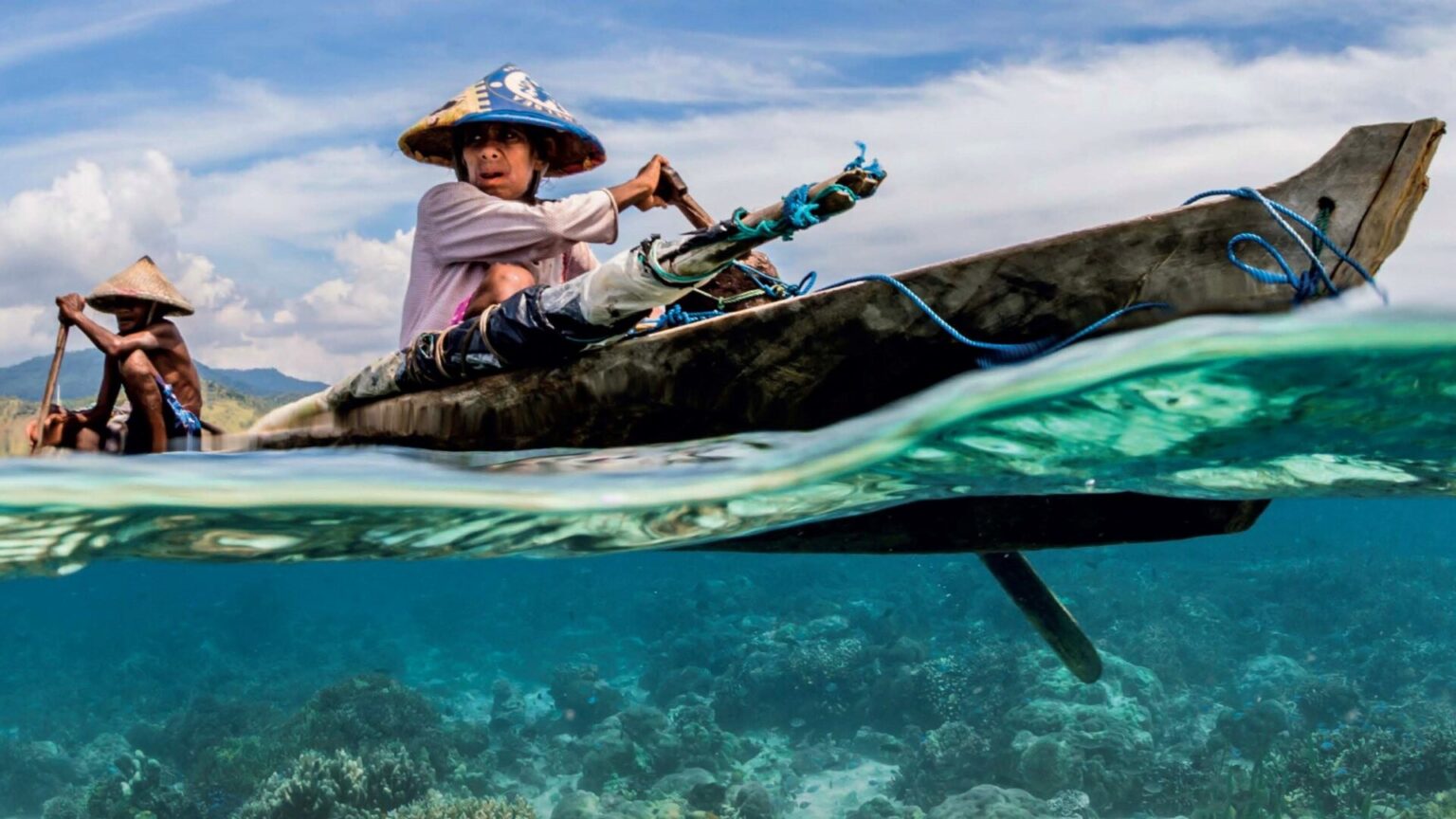 Oceans and Human Health Textbook Featuring Associate Professor of ...