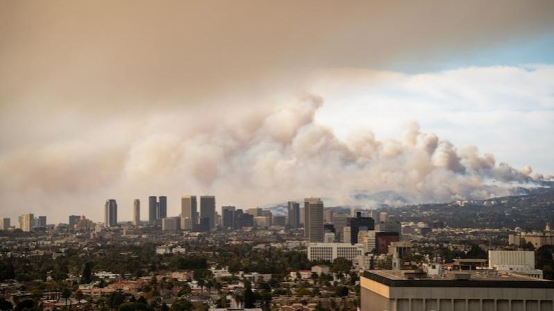 Exposure to Wildfire Smoke Late in Pregnancy May Raise Autism Risk in ...